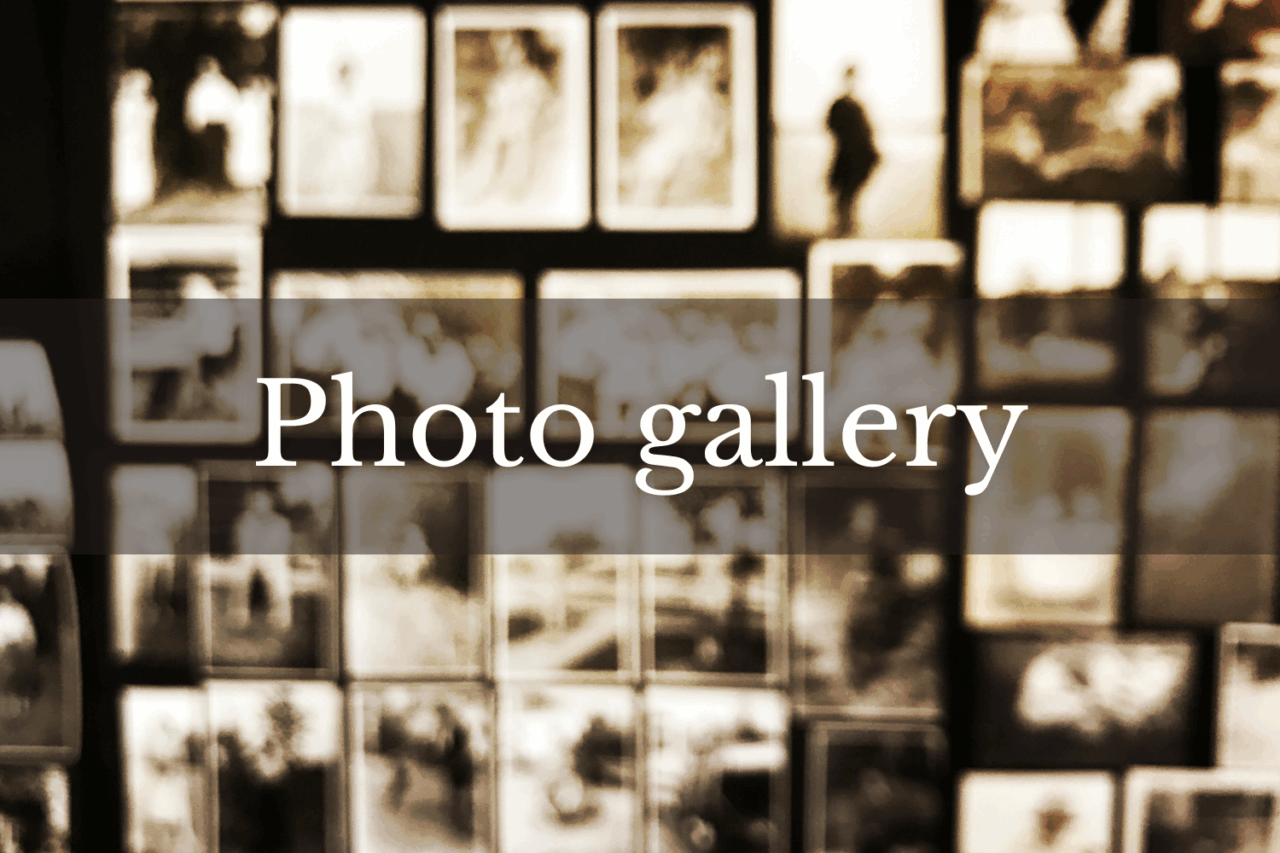 フォトギャラリー｜おしゃれで快適なピースリングの抱っこ風景集 | PsLing公式